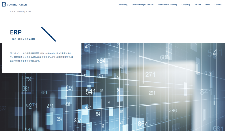 Oracle EBS導入完全ガイド｜成功する実装手順とベストプラクティス - INTERSECT